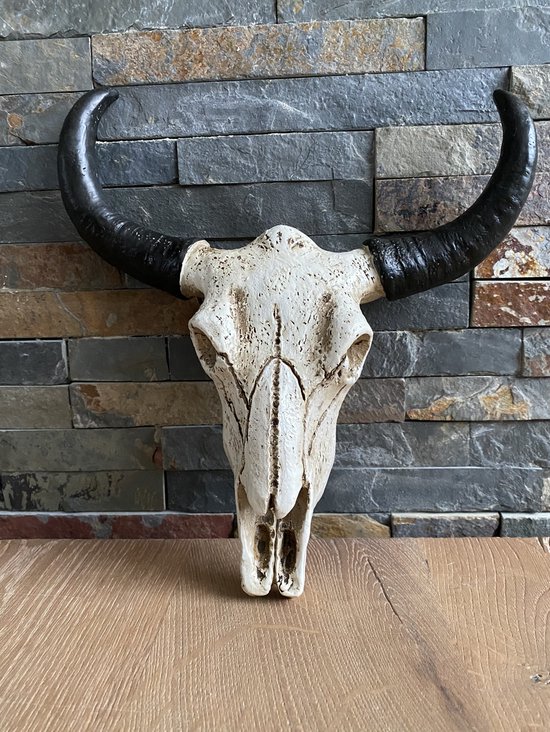 Schedel met hoorns - buffel - koe - kunsthars | bol