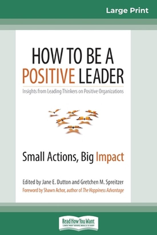 How to Be a Positive Leader: Small Actions, Big Impact (16pt Large ...