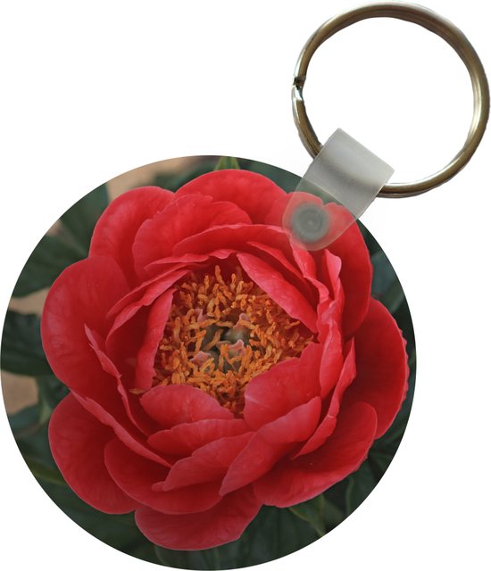 Sleutelhanger - Een rode pioenroos en een knop - Plastic - Rond ...