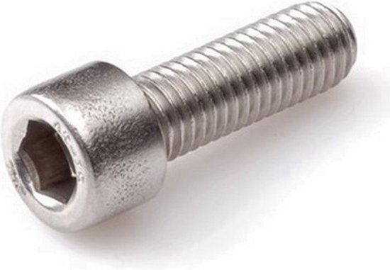 inbusbout en inbusring 10 x 25 mm RVS zakje 10 pcs | bol