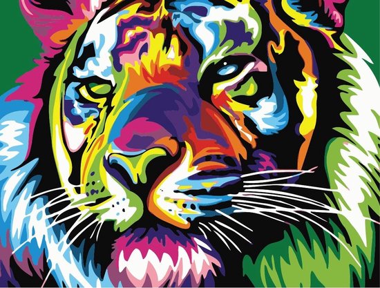 Schilderen op nummer kleurrijke tijger 40 x 50 cm | bol.com Schilderen op nummer kleurrijke tijger 40 x 50 cm | bol.com