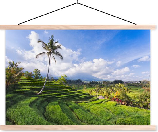 Porte-affiche avec affiche - Affiche scolaire - Image d'un palmier dans ...