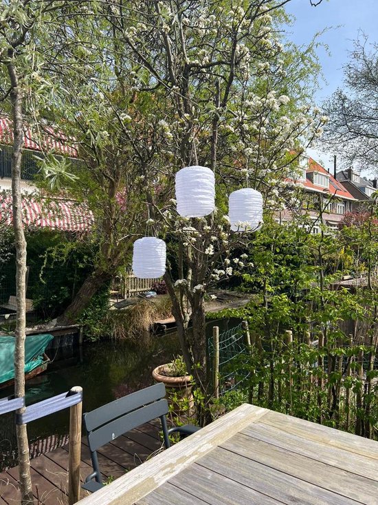 Solar lampion - Solar tuin lampion - Ovale lampion op zonne-energie, 8 ...