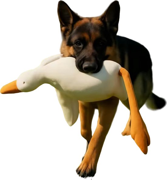 Eend 50 CM - Knuffel - Hond - Hondenspeelgoed - Kado - Hondenknuffel | bol