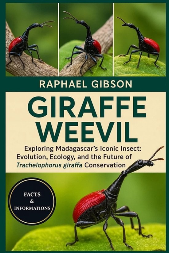 Giraffe Weevil: Exploring Madagascar's Iconic Insect: Evolution ...