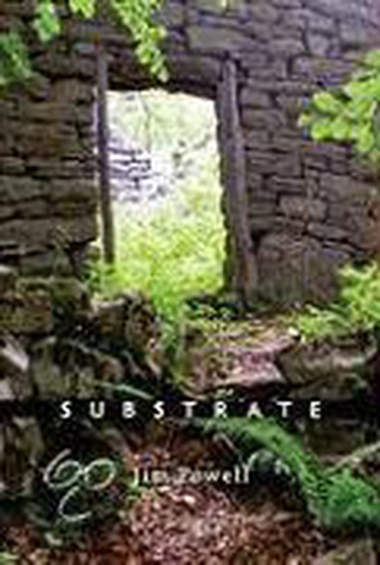 Substrate, Jim A. Powell | 9780307377883 | Boeken | bol