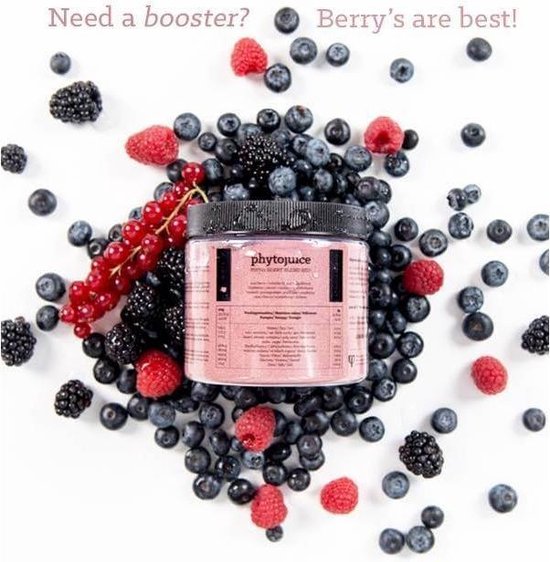 dr. Ludidi's PhytoJuice PHY02 - Berry Blend Red (FODMAP-friendly ...