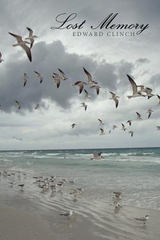 Lost Memory, Edward Clinch | 9781456721497 | Boeken | bol.com