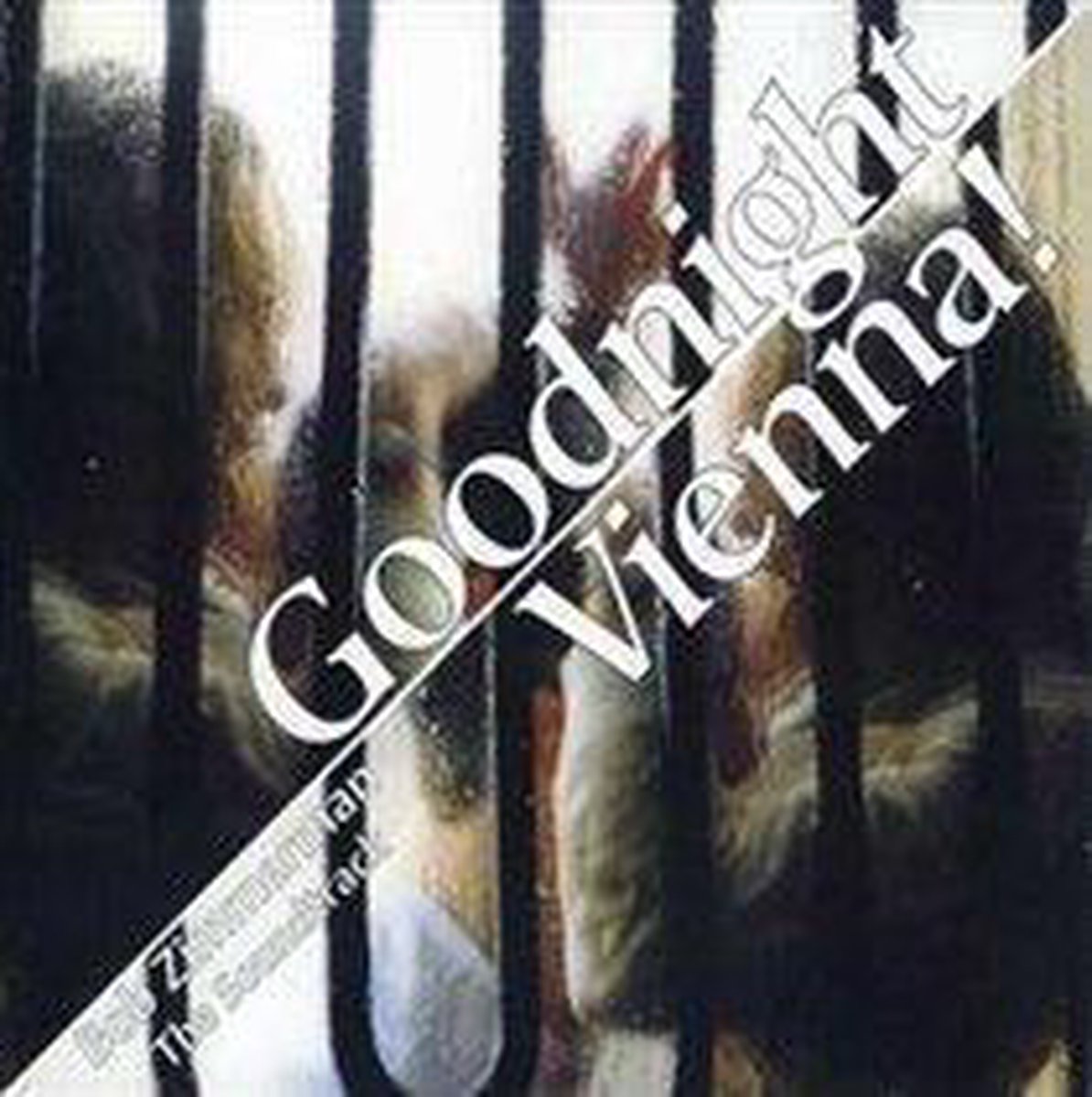 Goodnight Vienna!, Andriessen | CD (album) | Muziek | bol