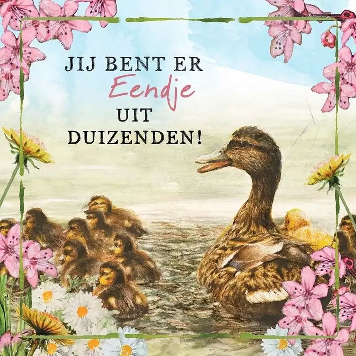 Wenskaart Rien Poortvliet, eendje uit duizenden | bol.com