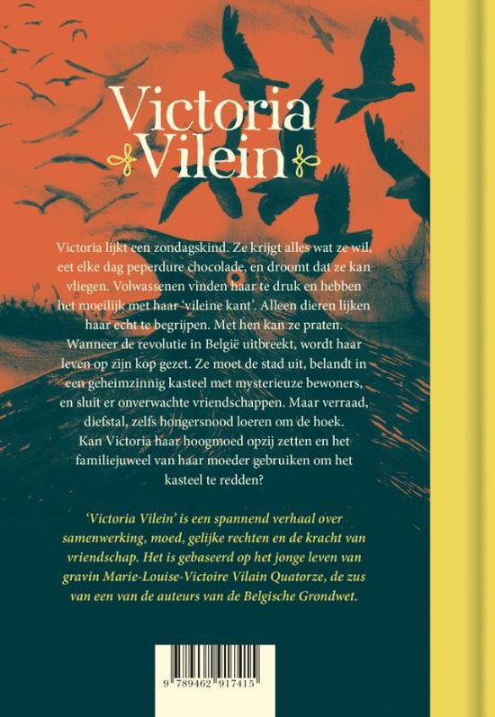 Victoria Vilein, Maartje van der Laak | 9789462917415 | Boeken | bol