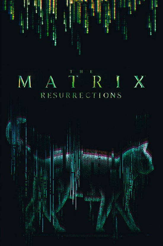 Poster The Matrix Cat 61x91,5cm | bol