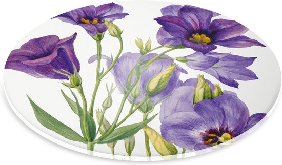 Set van 6 onderzetters voor glazen - Wilde bloemen van de Amerikaanse ...