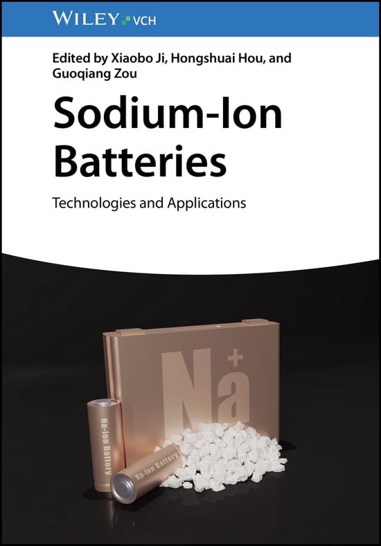 Sodium-Ion Batteries (ebook) | 9783527841677 | Boeken | bol