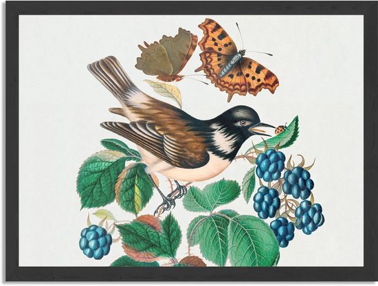 Poster Prent Natuur Vogel en Bloemen 14 Rechthoek Horizontaal Met Lijst ...
