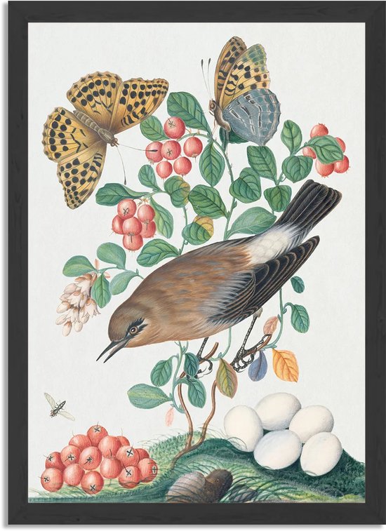 Poster Prent Natuur Vogel en Bloemen 05 Rechthoek Verticaal Met Lijst M ...