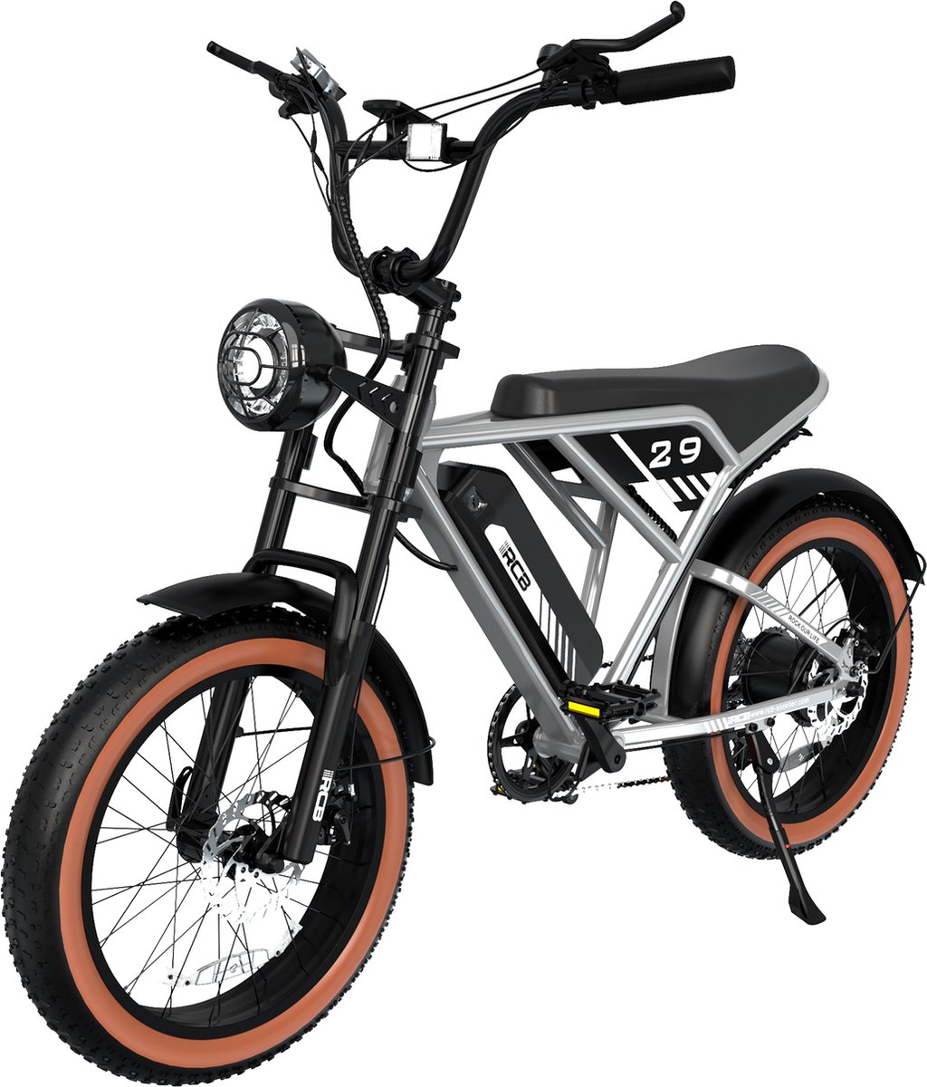 RCB Elektrische Fatbike | Electric Off-Road Bike | E-bike | 250W Motor ...