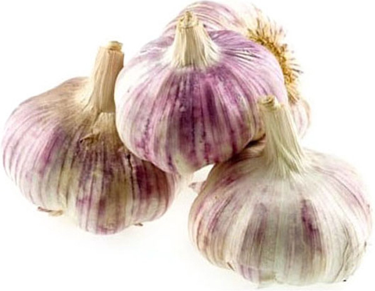 Tuin de Bruijn® Plant knoflook roze - 3 bollen plantknoflook - zelf ...