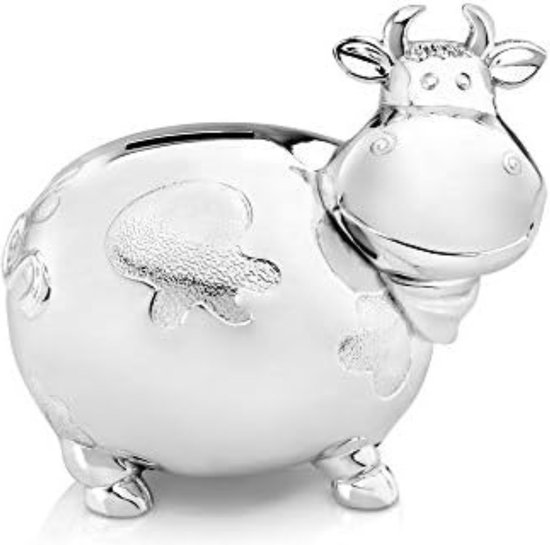 Spaarpot Groot - Grote Spaarpot - Grote Spaarpot Voor Volwassenen | bol