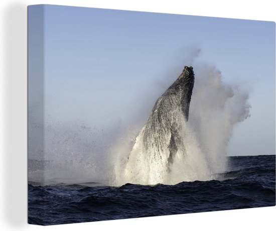 Canvas Schilderij Walvis - Water - Zuid-Afrika - 140x90 cm - Wanddecoratie | bol