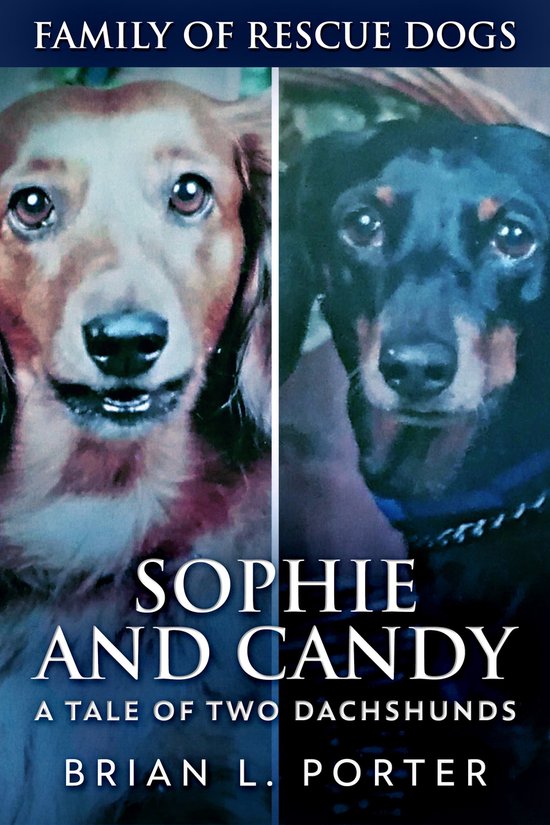 Family Of Rescue Dogs 10 - Sophie and Candy - A Tale of Two Dachshunds ...