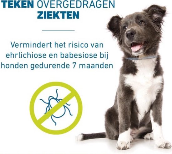 Pro Vlooienband Hond - Teken- en Vlooienband - Anti tekenmiddel - >8 kg ...