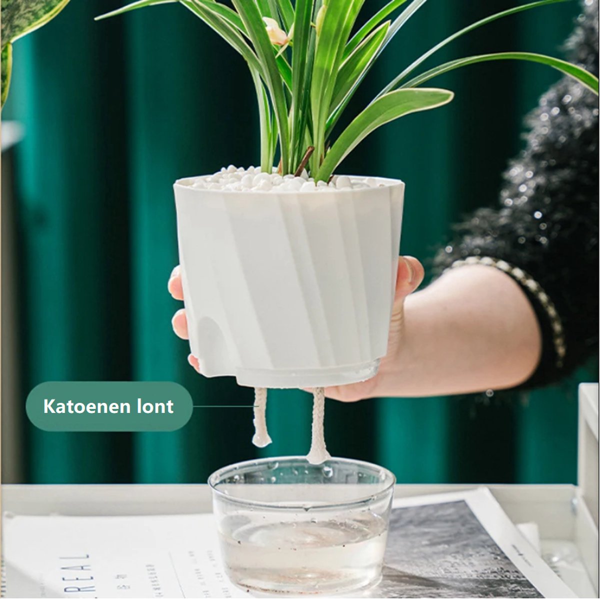 AuroraPots HydroBloom Rond Ø15CM - Moderne Hydroponische Bloempot ...