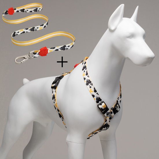 Lindo Dogs - Wandelset van 2 - Hondenriem - Hondenharnas / Hondentuigje ...