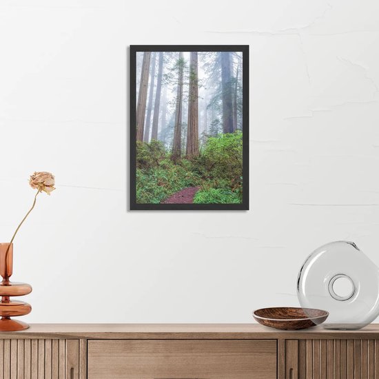 Poster Sequoia bos Rechthoek Verticaal Met Lijst L (40 X 50 CM ...