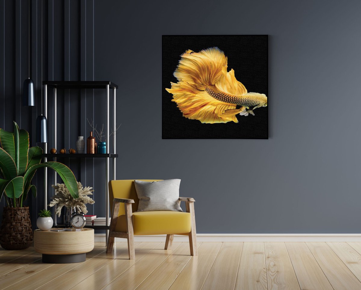 Tableau Acoustique Jaune Betta Siamese Fish Square Pro XL (100X100 ...