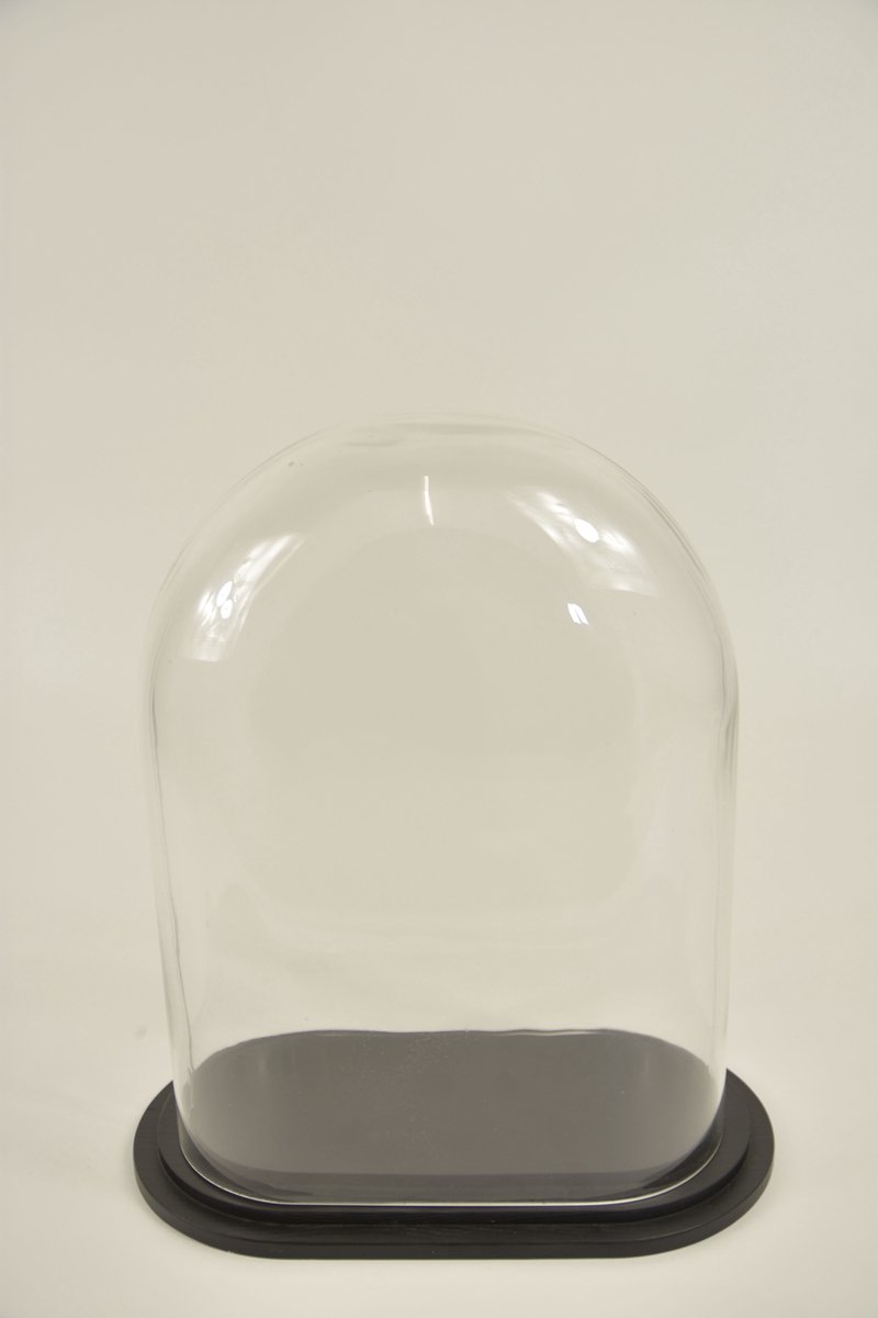 Cloche ovale L verre transparent 24x12,5x30cm plateforme bois noir | bol
