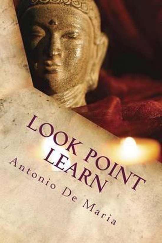 Look Point Learn | 9781514733394 | Burney Visser | Boeken | bol.com