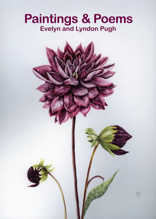 Paintings and Poems (ebook), Lyndon Pugh | 9780957431928 | Boeken | bol.com