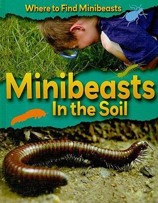 Minibeasts in the Soil | 9781599203256 | Sarah Ridley | Boeken | bol.com