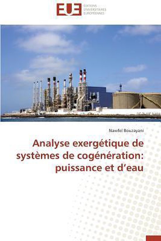 Omn.Univ.Europ.- Analyse Exergétique de Systèmes de Cogénération, Bouzayani-N |... | bol.com