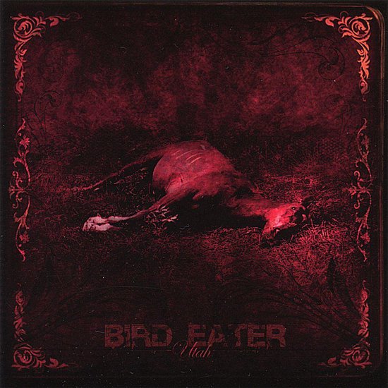 Utah | CD (album) | Muziek | bol
