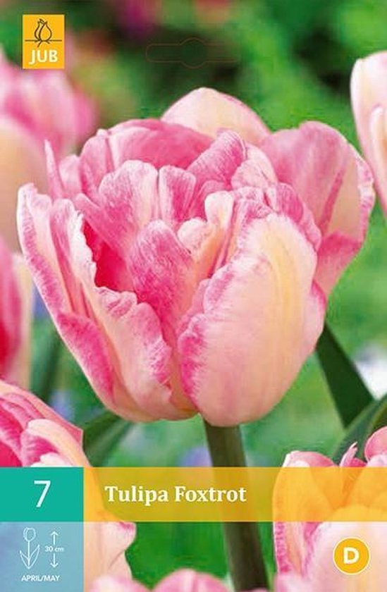 Tulipa Foxtrot - dubbelvroege tulp - set van 28 stuks | bol.com