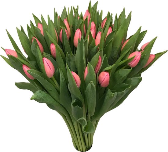 30 roze tulpen | bol.com