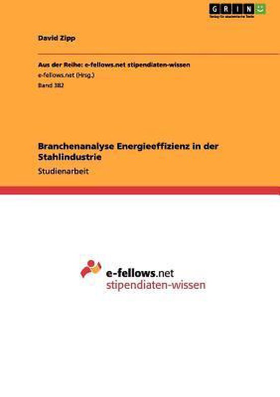 Branchenanalyse Energieeffizienz in der Stahlindustrie | 9783656139614 ...