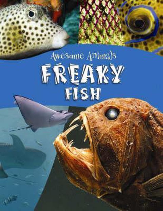 Freaky Fish, Lynn Huggins-Copper | 9781845389437 | Boeken | bol.com