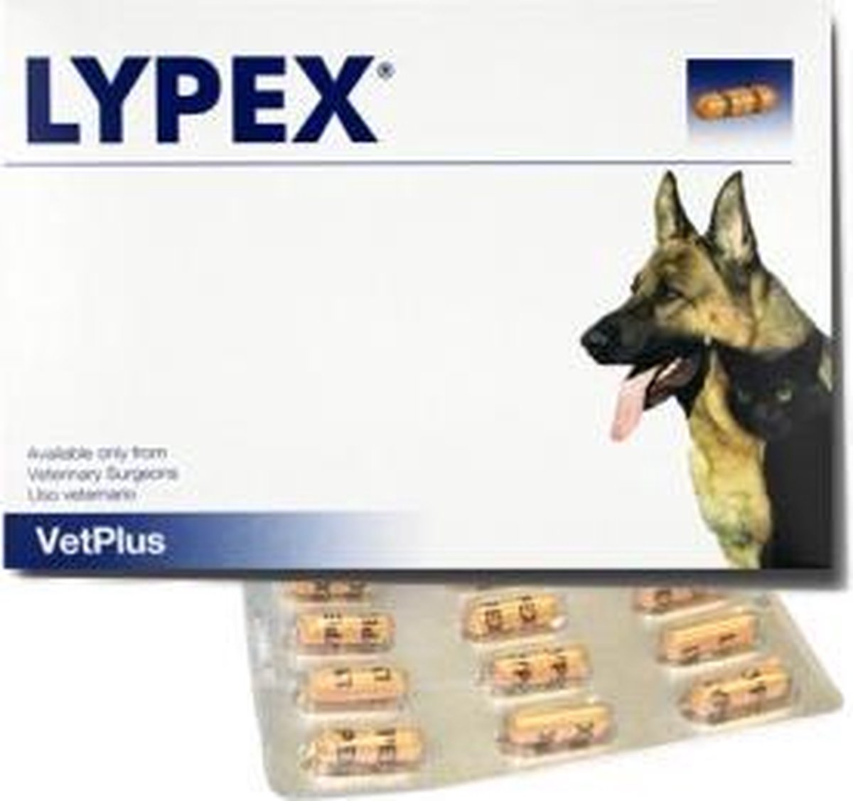 bol.com | Vetplus Lypex 60 capsules