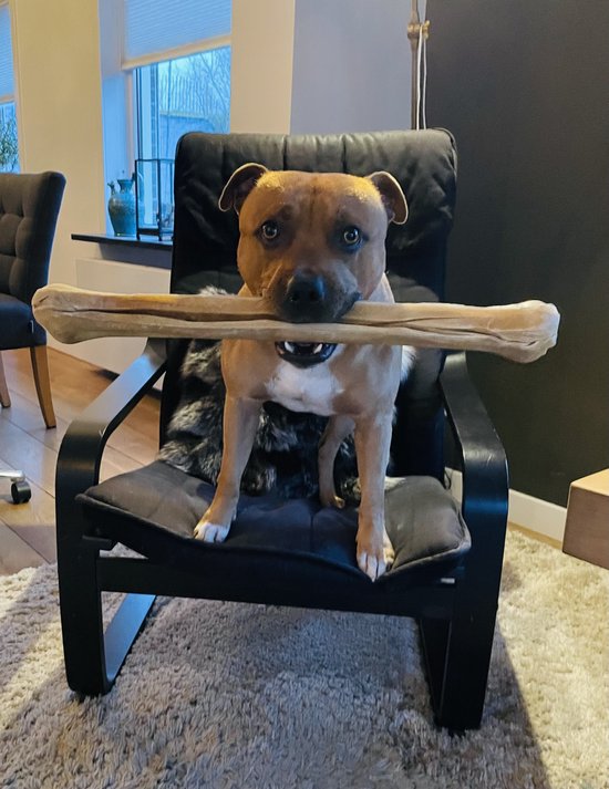 Honden kluif Raw Hide super kluif bot Antos 51 CM 1 Kg | bol