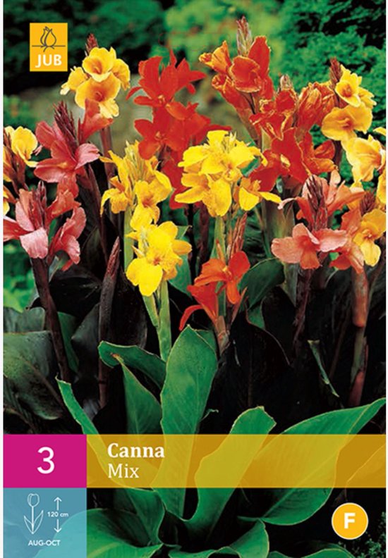 Canna Gemengd | bol