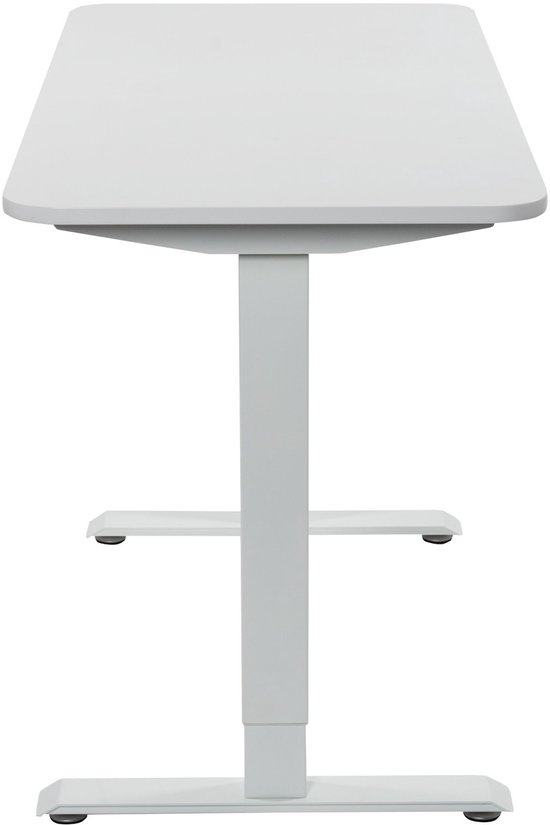 Darwin Walking Desk | bol