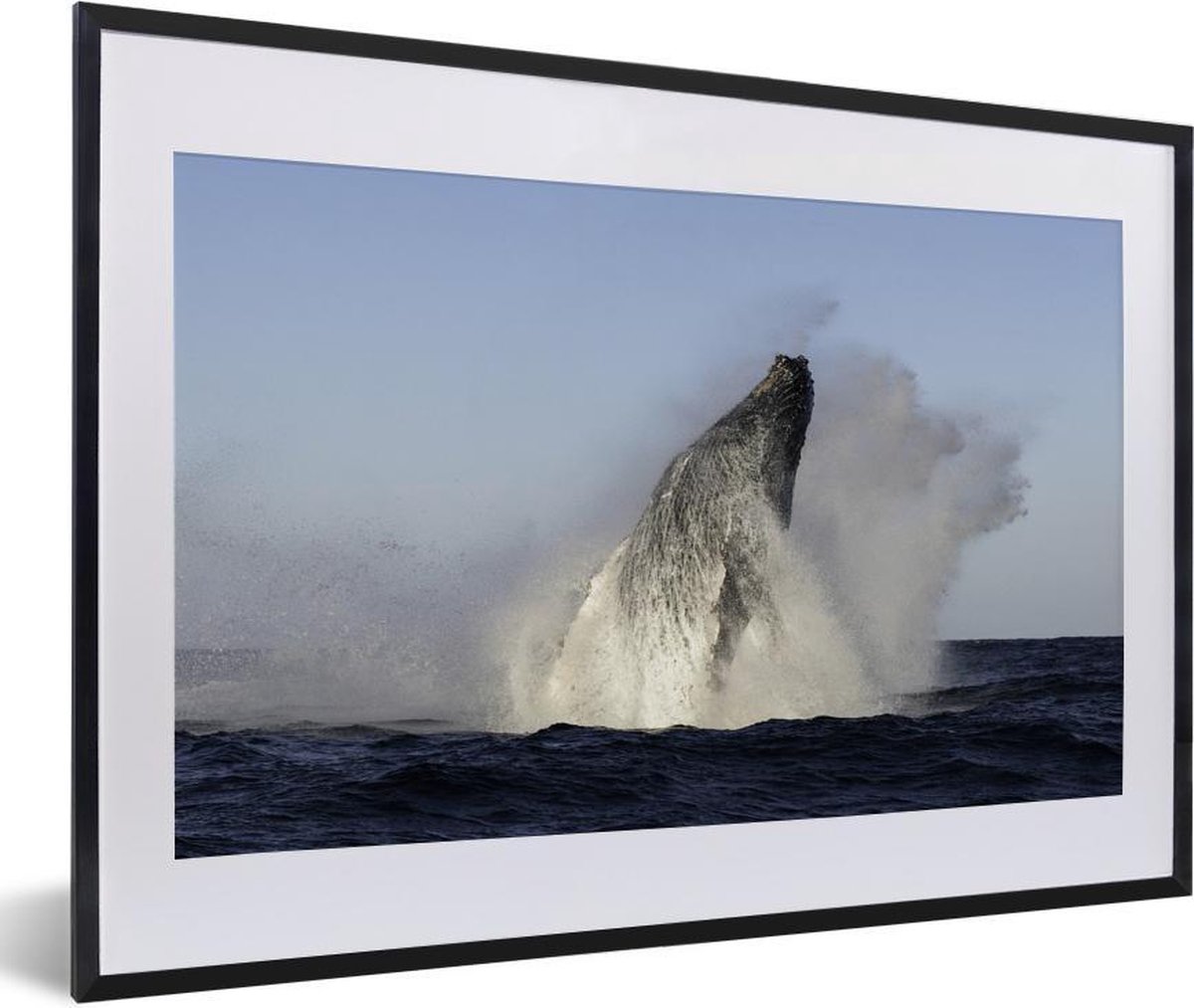 Fotolijst incl. Poster - Walvis - Water - Zuid-Afrika - 60x40 cm ...