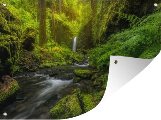 Tuin decoratie Prachtig plaatje jungle - 40x30 cm | bol.com