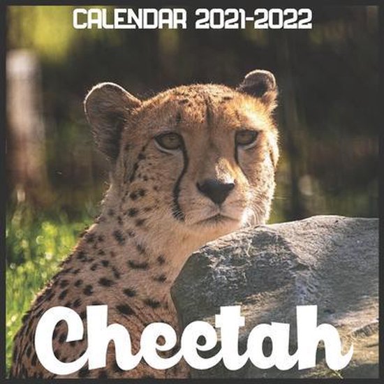 Cheetah Calendar 2021-2022 | bol.com