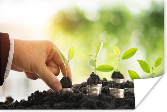 Poster Groeiende plantjes op munten als voorbeeld voor economische ...