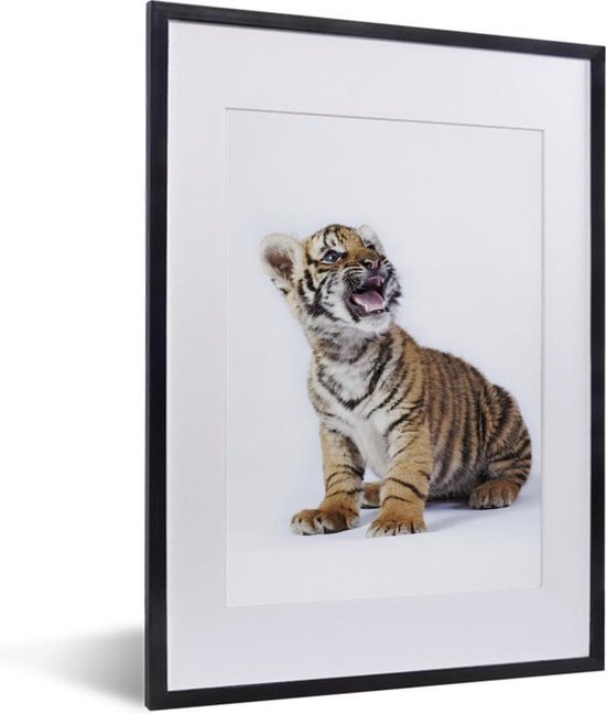 Fotolijst incl. Poster - Tijger - Welp - Dier - 30x40 cm - Posterlijst ...