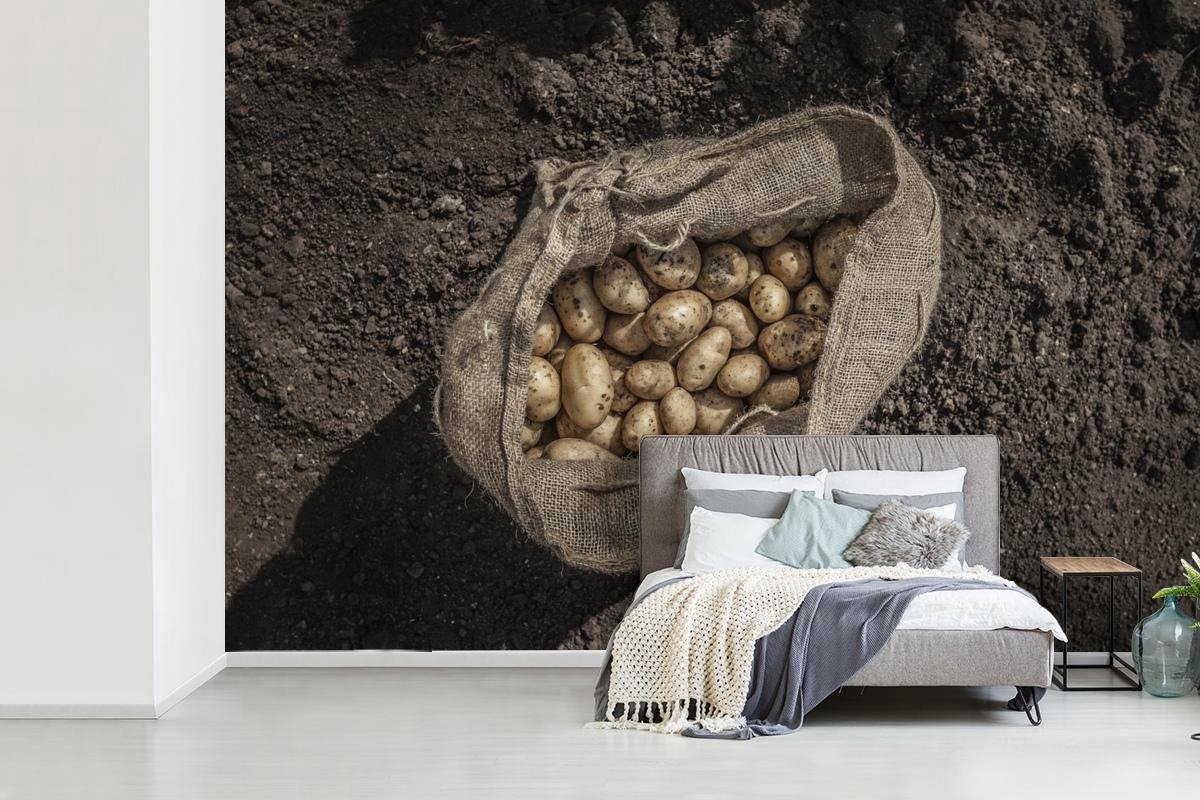 Behang - Fotobehang Aardappel - Jute - Zak - Boerderij - Breedte 450 cm ...